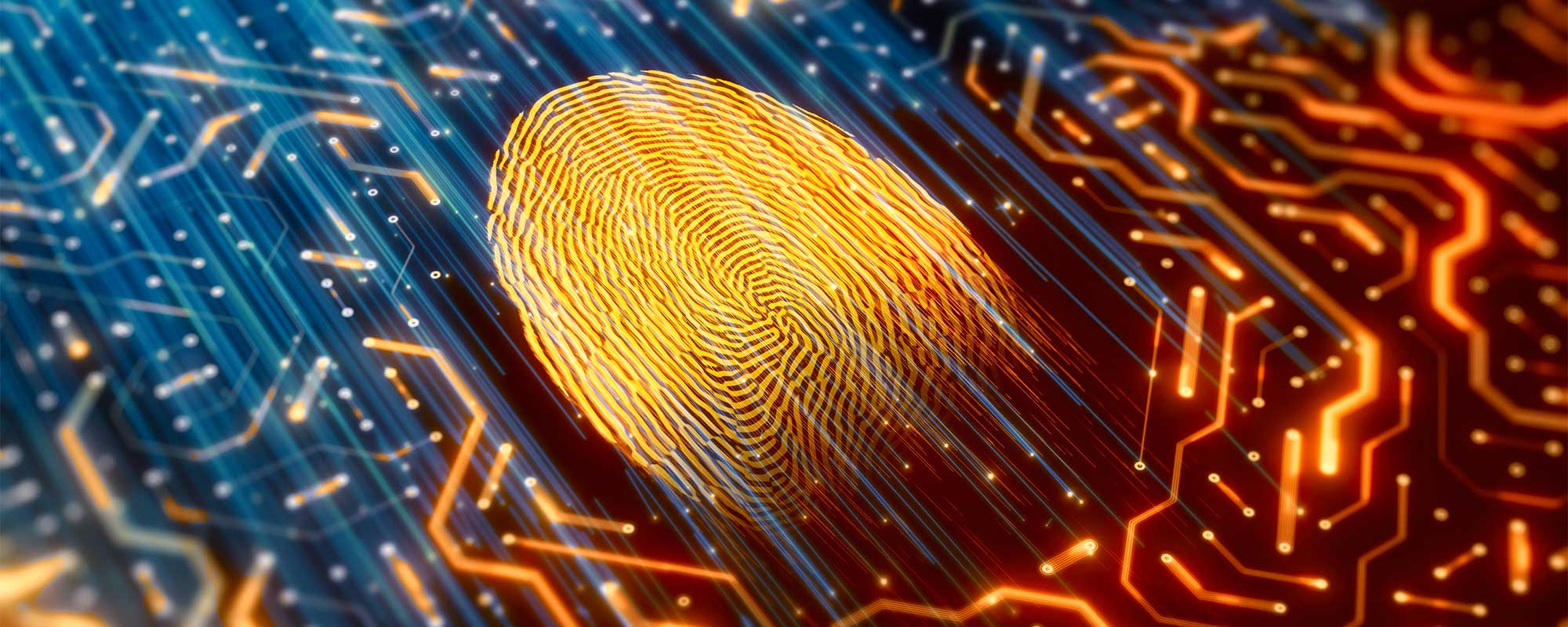 Everything You Need to Know About Arduino Shields - KnowHow