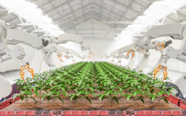 The Role of Transport in Agriculture - KnowHow