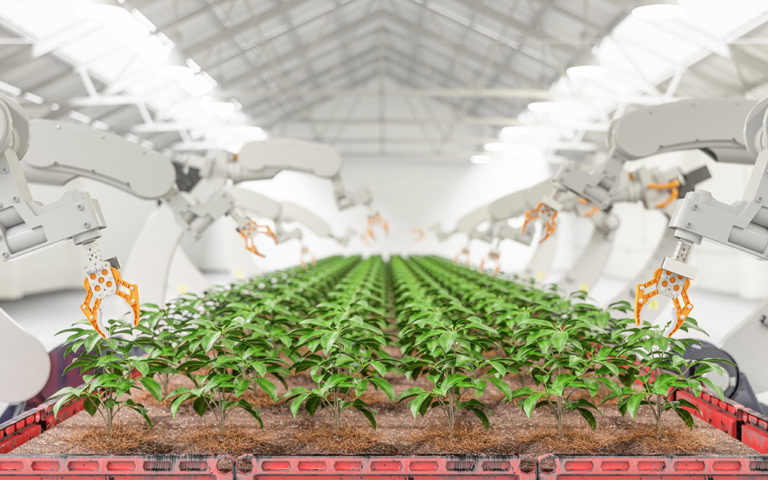 The Role of Transport in Agriculture - KnowHow