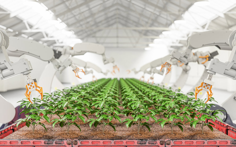 The Role of Transport in Agriculture - KnowHow