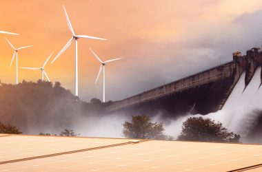 Understanding Biomass and Bioenergy: A Sustainable Energy Solution ...