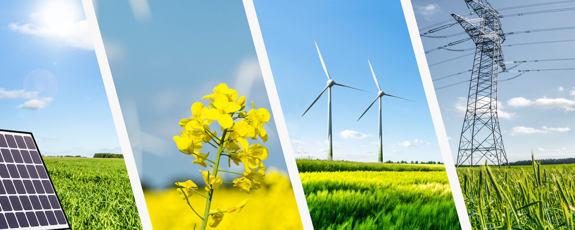Different Ways to Harness Energy from Wind - KnowHow