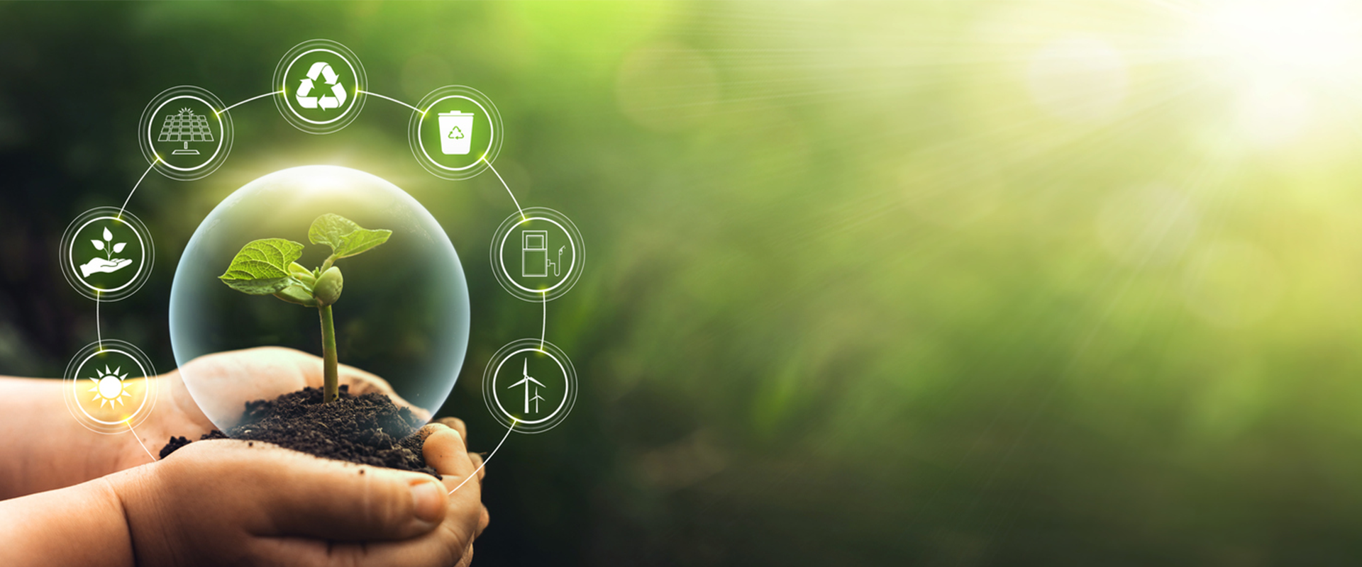 Top 10 Environmentally-Focused Solutions from KnowHow - KnowHow