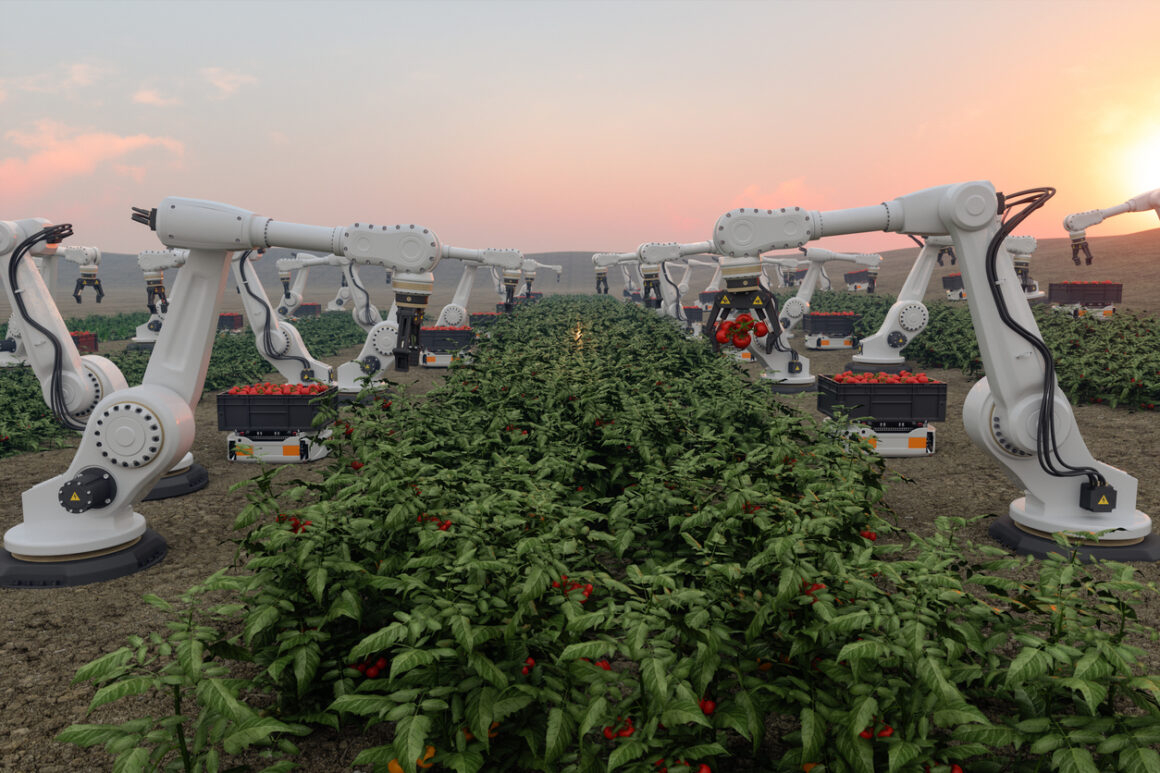 Agricultural Robots - Bringing Smart Automation to Farming - KnowHow