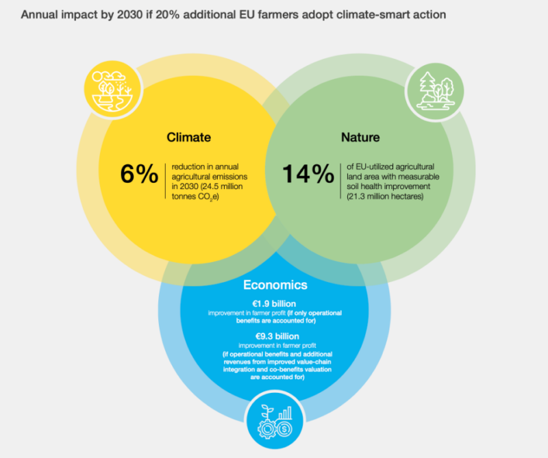 Regenerative Agriculture: The Next Frontier in Sustainable Food ...