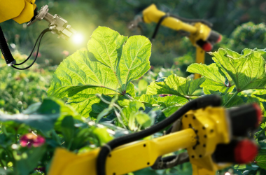 5 key benefits of a Weller Erem tool - KnowHow