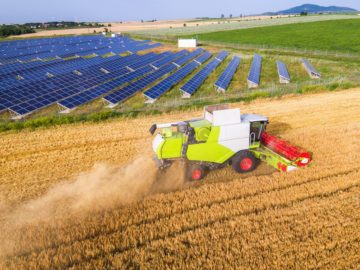 How Agrivoltaic Farming Promotes Renewable Agriculture - KnowHow