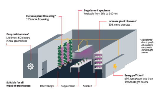 The Role of LED Lighting in Modern Farming - KnowHow