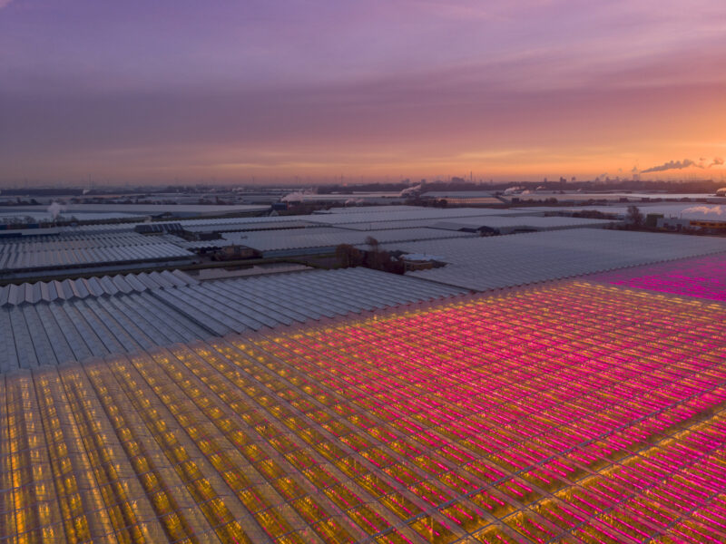 The Role of LED Lighting in Modern Farming - KnowHow