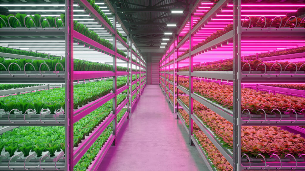 The Role of LED Lighting in Modern Farming - KnowHow