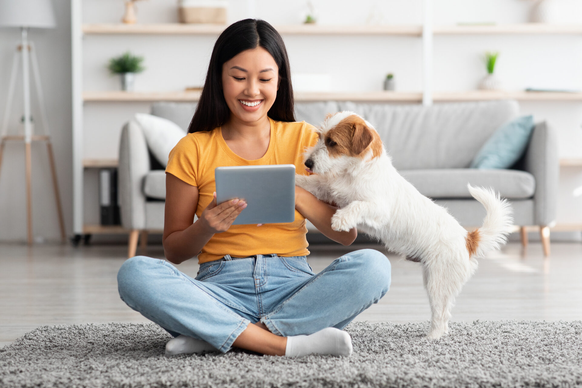 Europe's Pet Tech Landscape - What Owners Want, Fear, and Are Willing ...