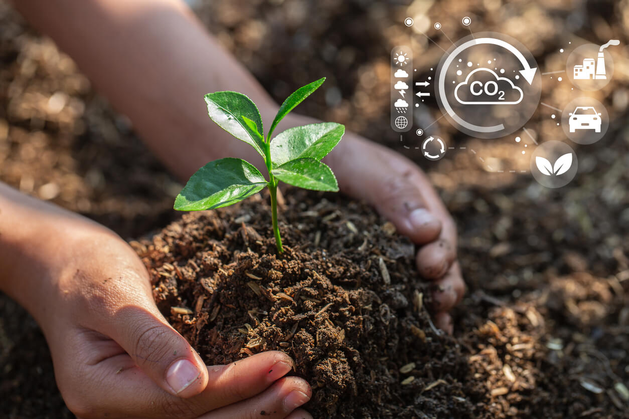 From Soil to Sustainability: World Soil Day - KnowHow