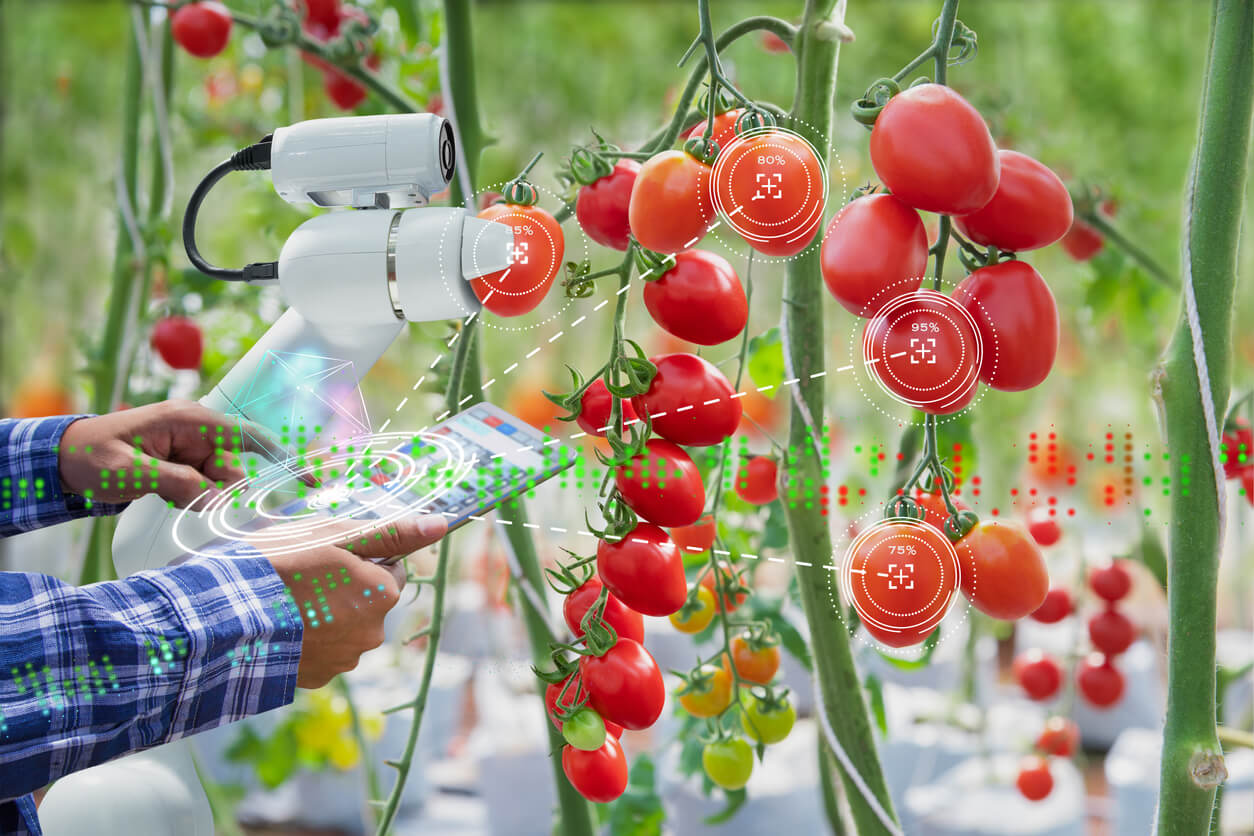 The Role of Transport in Agriculture - KnowHow