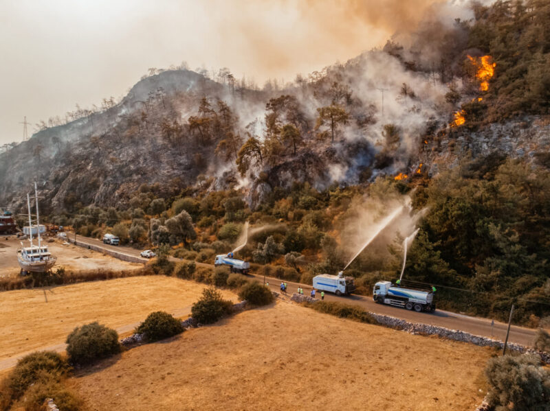 The Cost of European Wildfires 2023 Report - KnowHow
