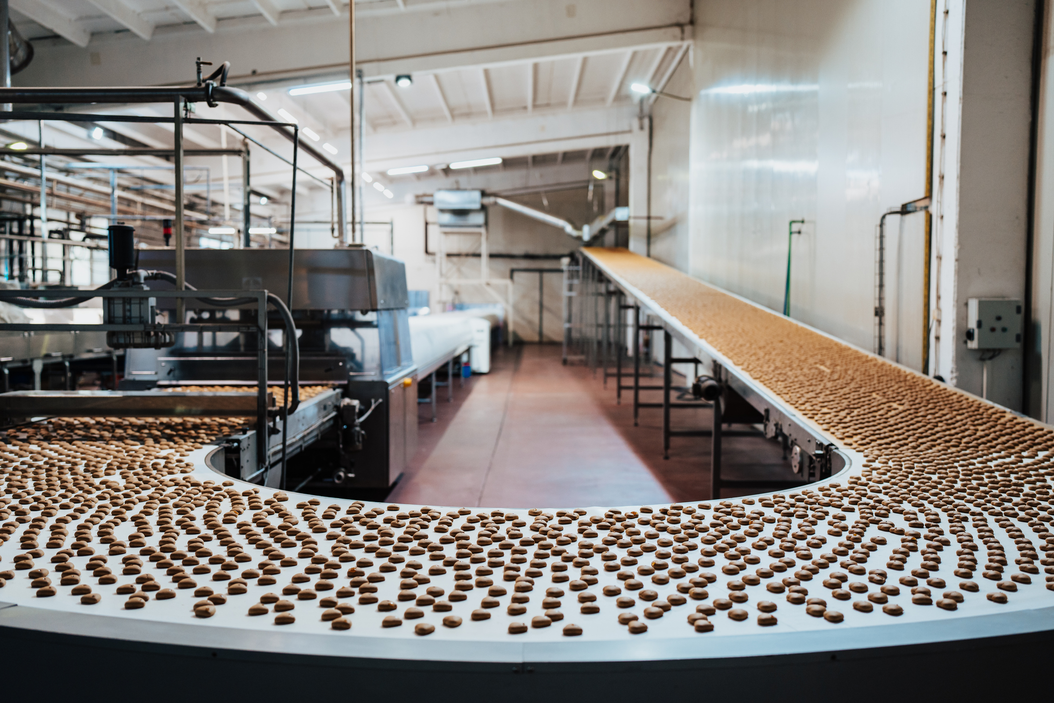 Top 6 Automation Machines in Food Production - KnowHow