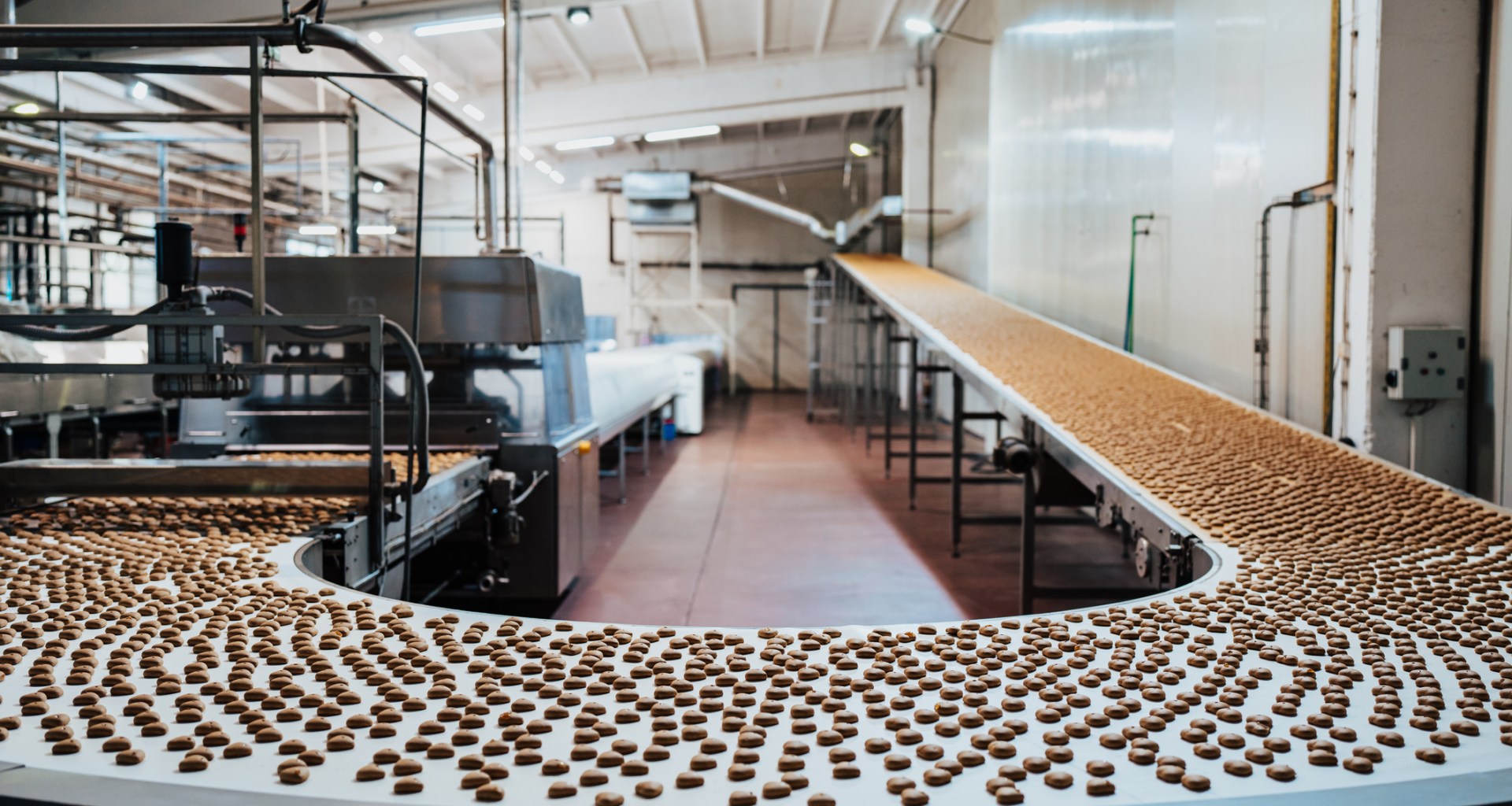Top 6 Automation Machines in Food Production - KnowHow