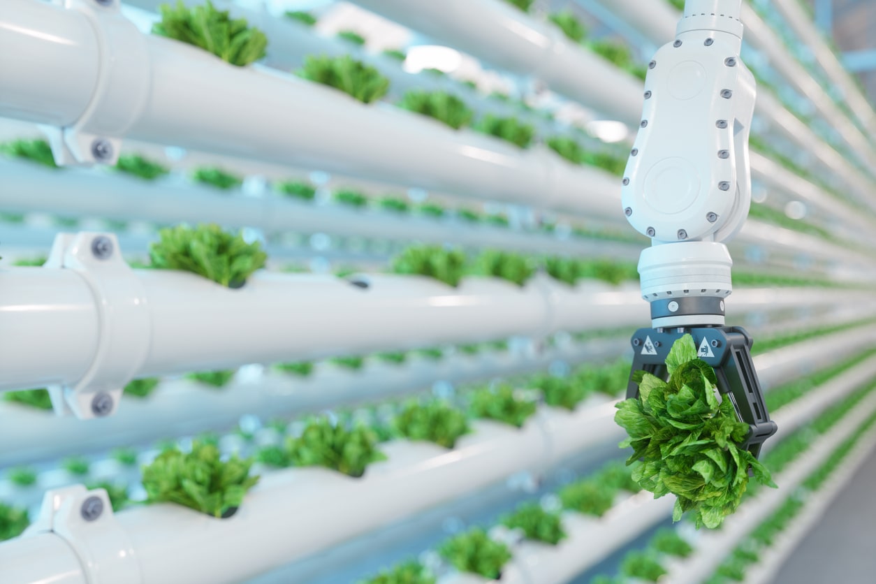 How Robots Are Used in the Food Industry - KnowHow
