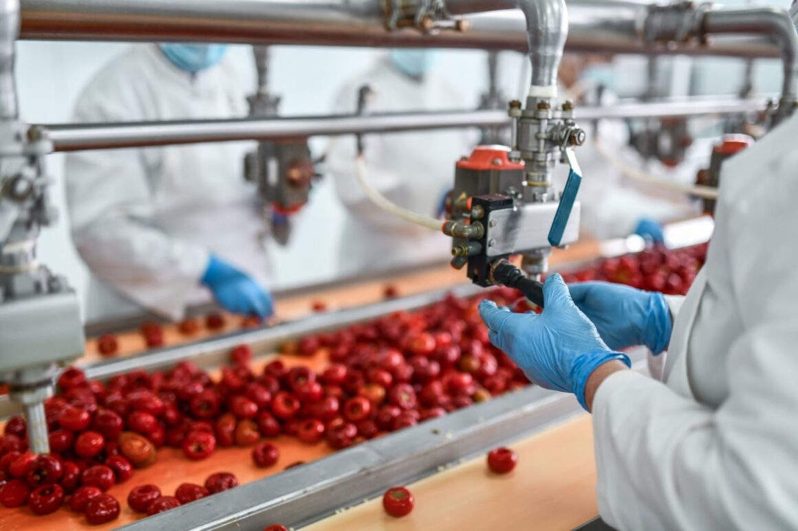 The Importance of Health and Safety in the Food Industry - KnowHow