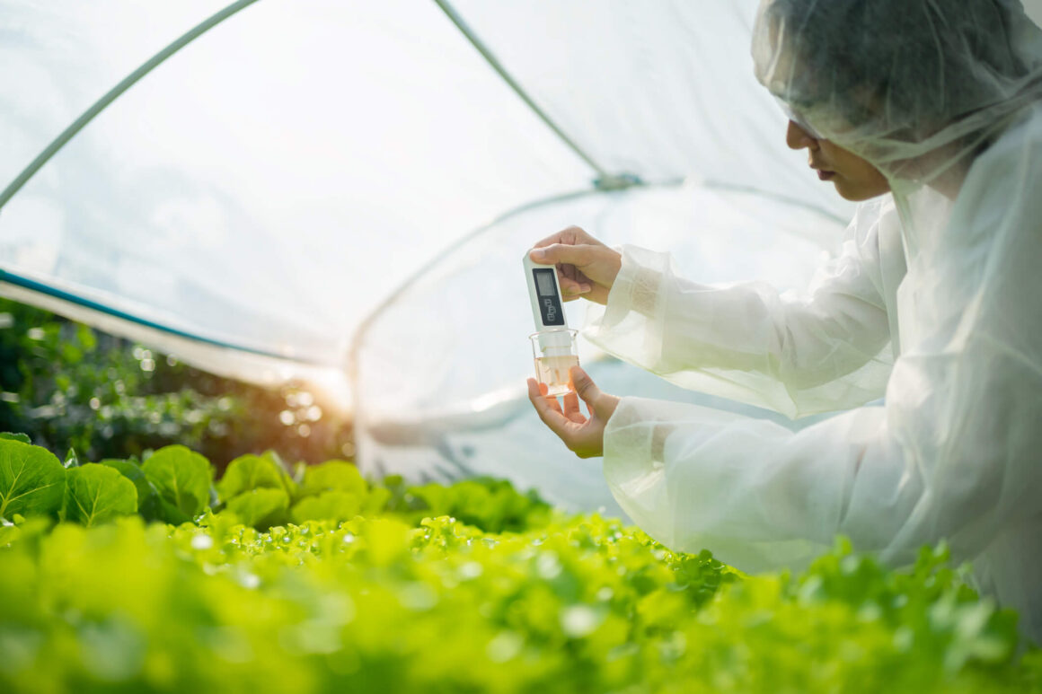 Sensor Technology in the Food Industry - KnowHow