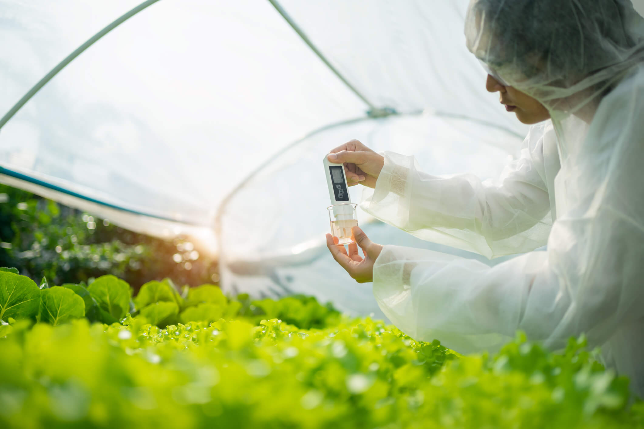 Sensor Technology in the Food Industry - KnowHow