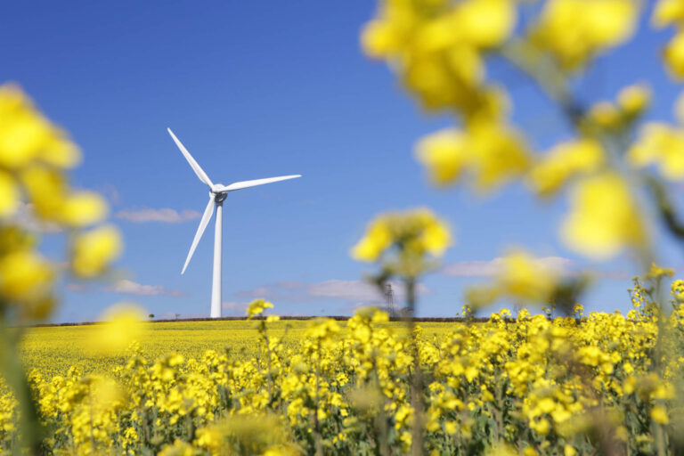 Topp 5 fornybare energikilder - KnowHow