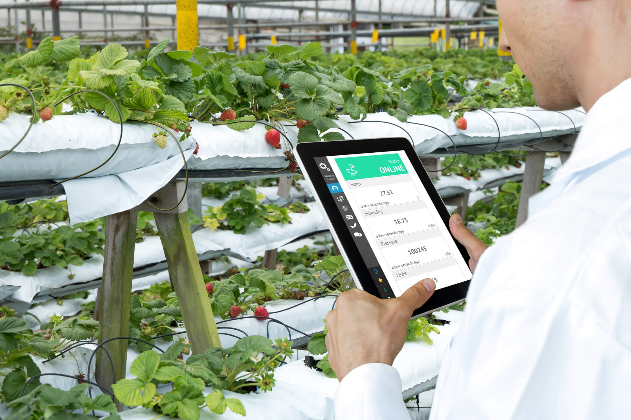 Sensor Technology in the Food Industry - KnowHow