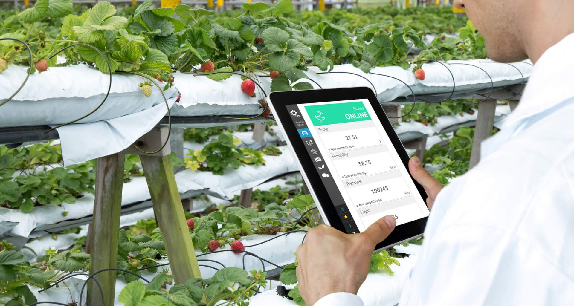 Sensor Technology in the Food Industry - KnowHow