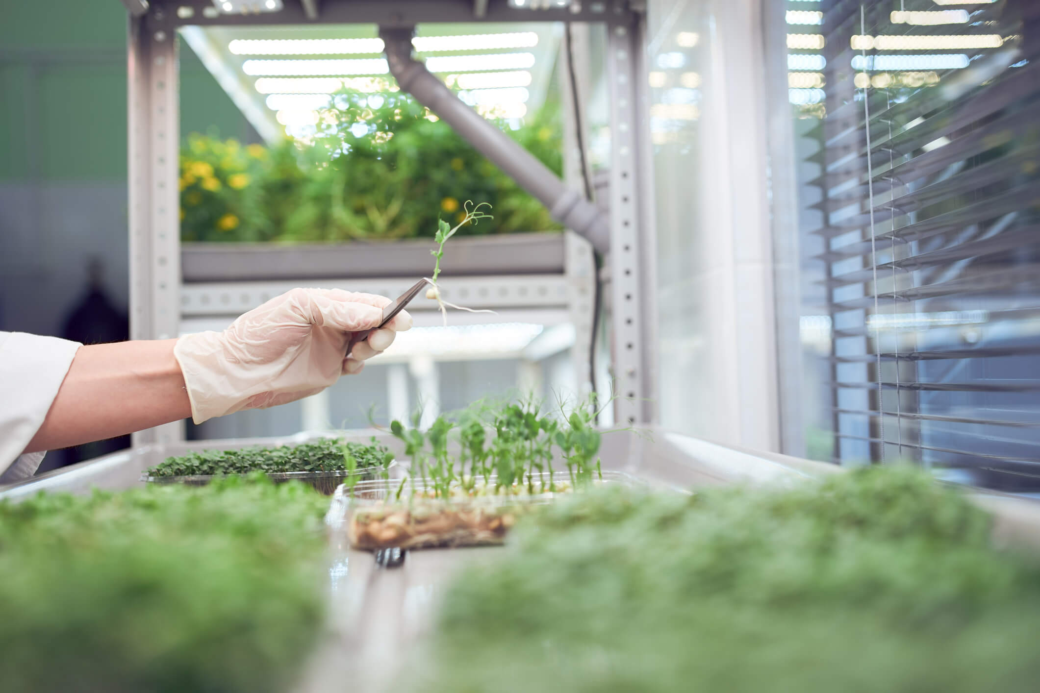Vertical Farming – Where to Start? - KnowHow