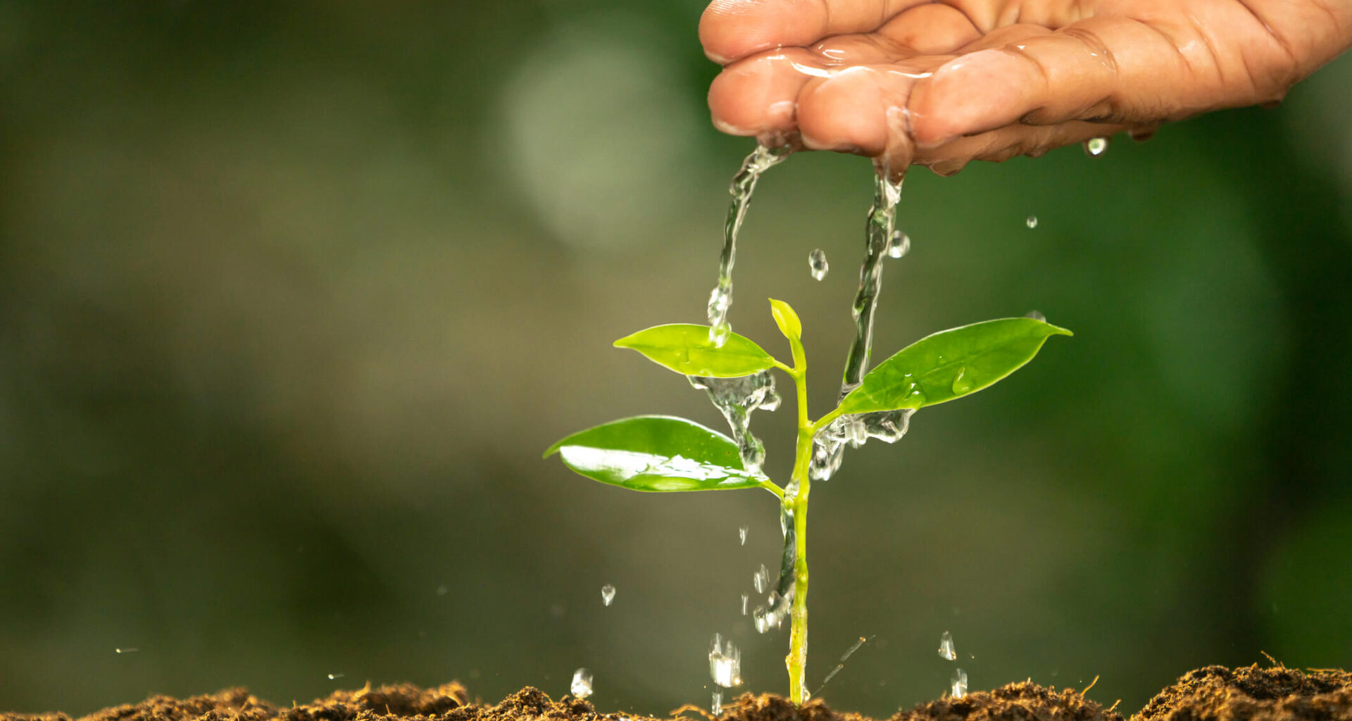 Revolutionising Agriculture: Innovative Water Conservation Methods ...