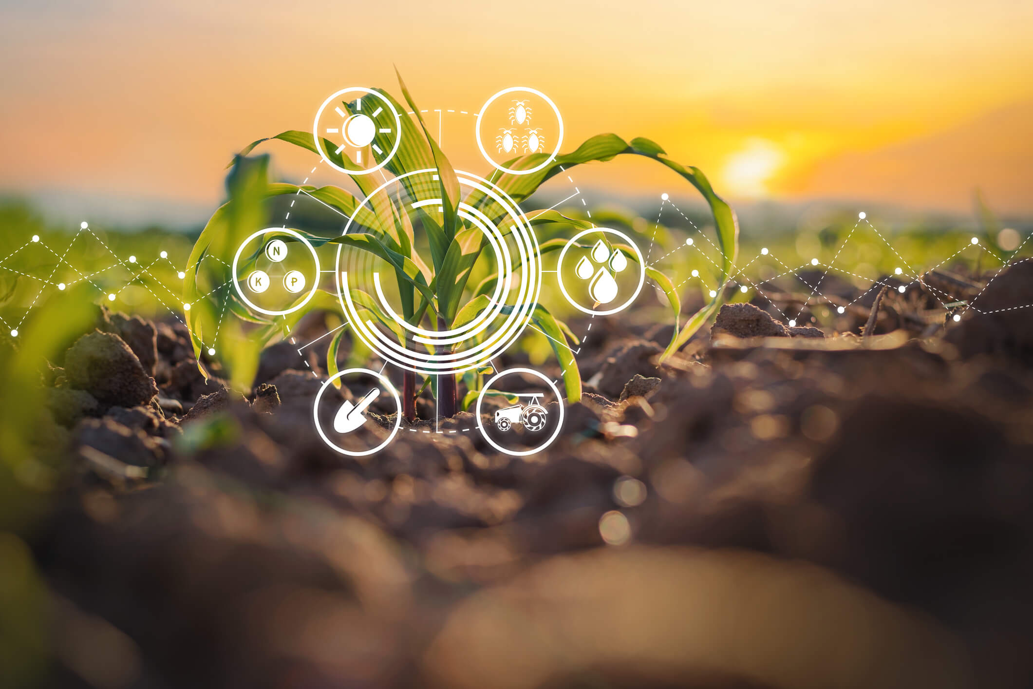 Revolutionising Agriculture: Innovative Water Conservation Methods ...