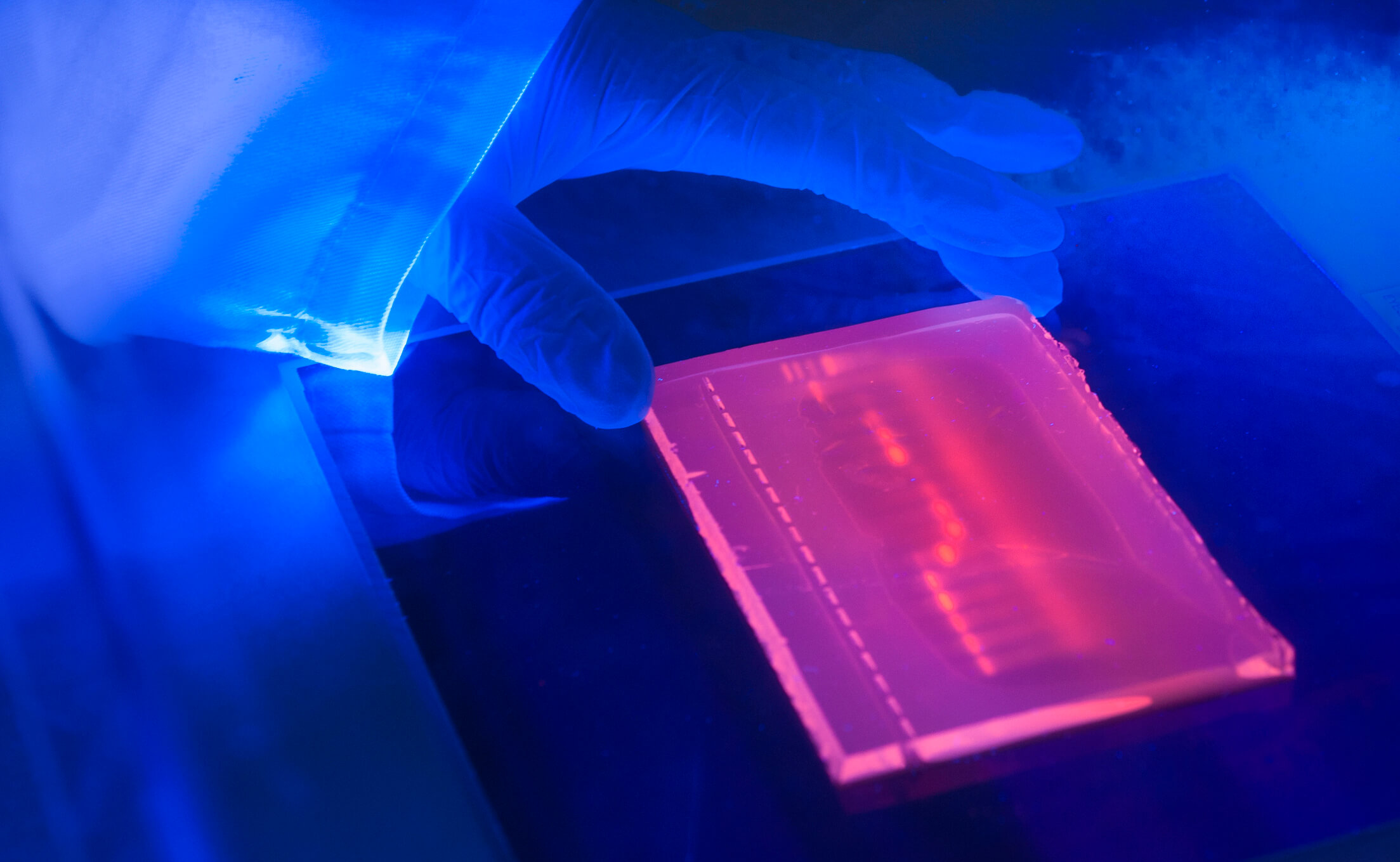 Interesting Facts About UV Light - KnowHow
